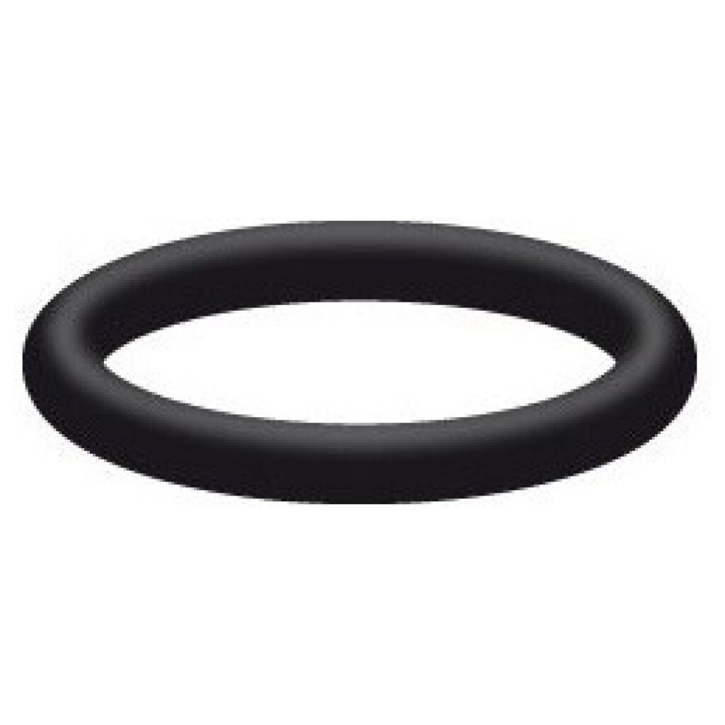 O-Ring for Nozzle Insert (10PCS) - Chiefs Australia